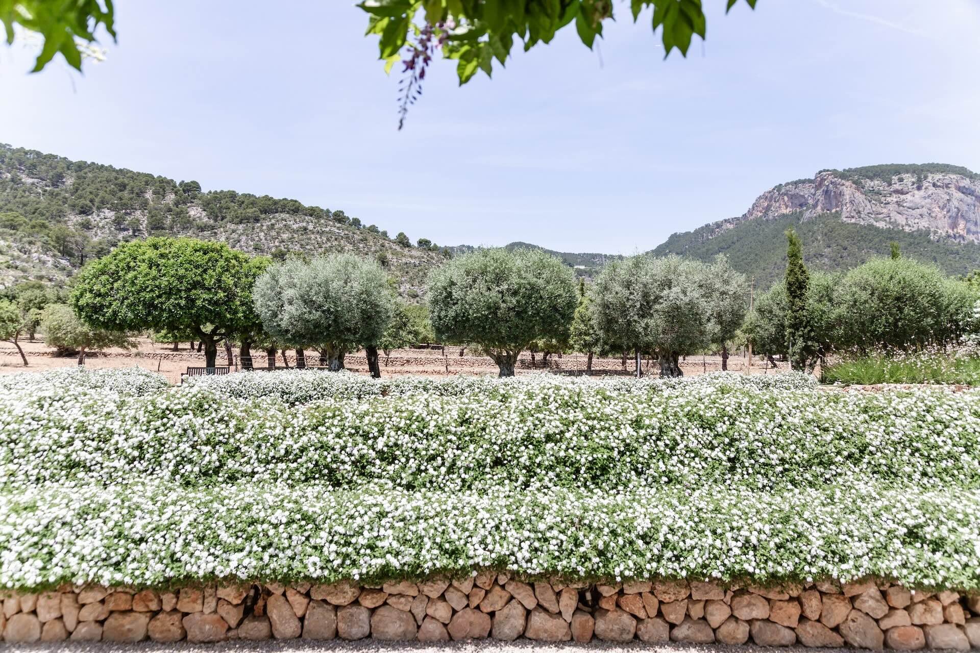 Finca Es Rafal in Alaró, Holiday Villa by Mallorca Collection